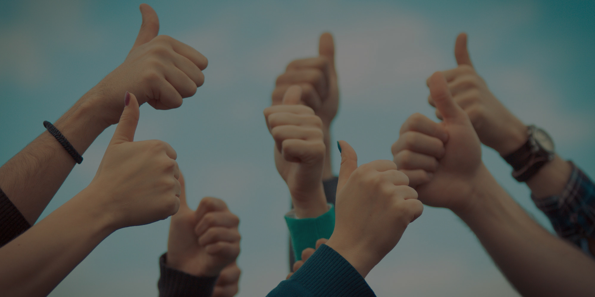 Intersoft Data Labs – Our Goal is to Help you grow Your Business